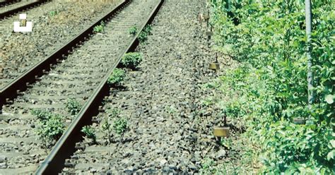 배경에 다리가 있는 기차 선로의 모습 사진 Unsplash의 무료 자연 이미지