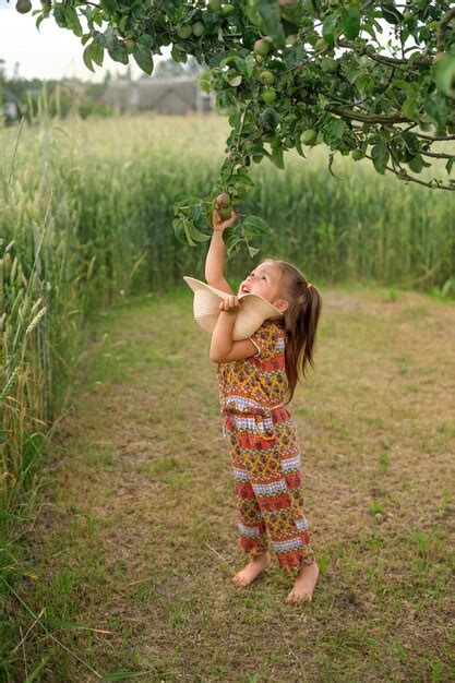 Une Jolie Petite Fille Aux Pieds Nus Cueille Des Pommes Des Branches Et Les Met En Chapeau