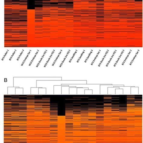 Hierarchical Clustering Of Replicates Based On Expression Profiles