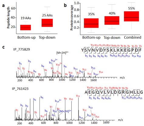 Improved Identification Of Small Open Reading Frames Encoded Peptides By Top Down Proteomic