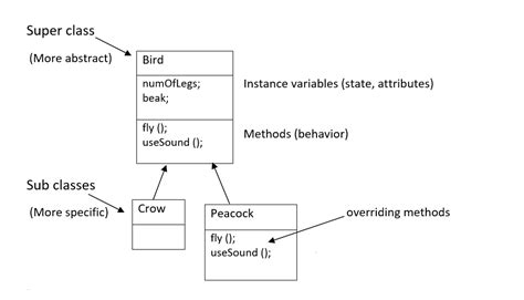 Java Methods And Instance Variables By Ruvinda Lakdini Madapatha Medium