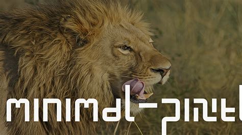 Minimal Pixel Font Download Free For Desktop And Webfont