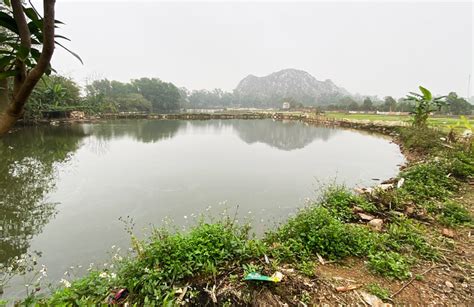 Tin Tức Hình ảnh Video Clip Mới Nhất Về Lãng Phí đất đai