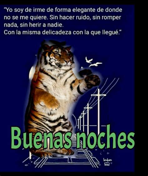 Pin De Freddy ángel Em Súper Tauro Música Amistad Y Algo Mas Delicadeza