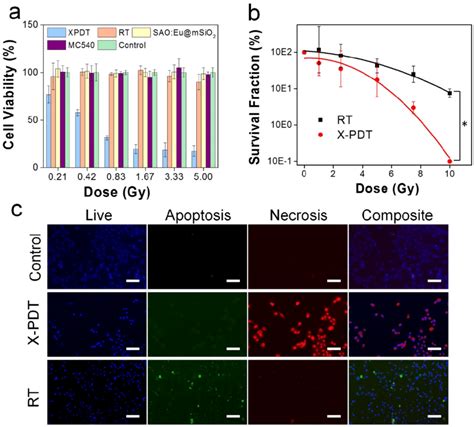 X Pdt Induced Cell Death A Cell Viability Measured By Mtt Assays