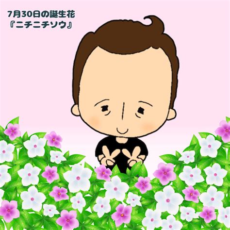 7月30日の誕生花はニチニチソウです 花言葉は楽しい思い出 花言葉は鮮やかな色の花をたくさん咲かせる姿がとても楽しげで夏を満喫し