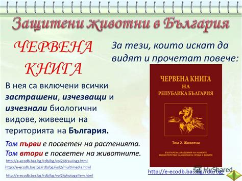 Презентация на тему Веска Петрова ОУпроф Д Димов гр Ловеч Източа