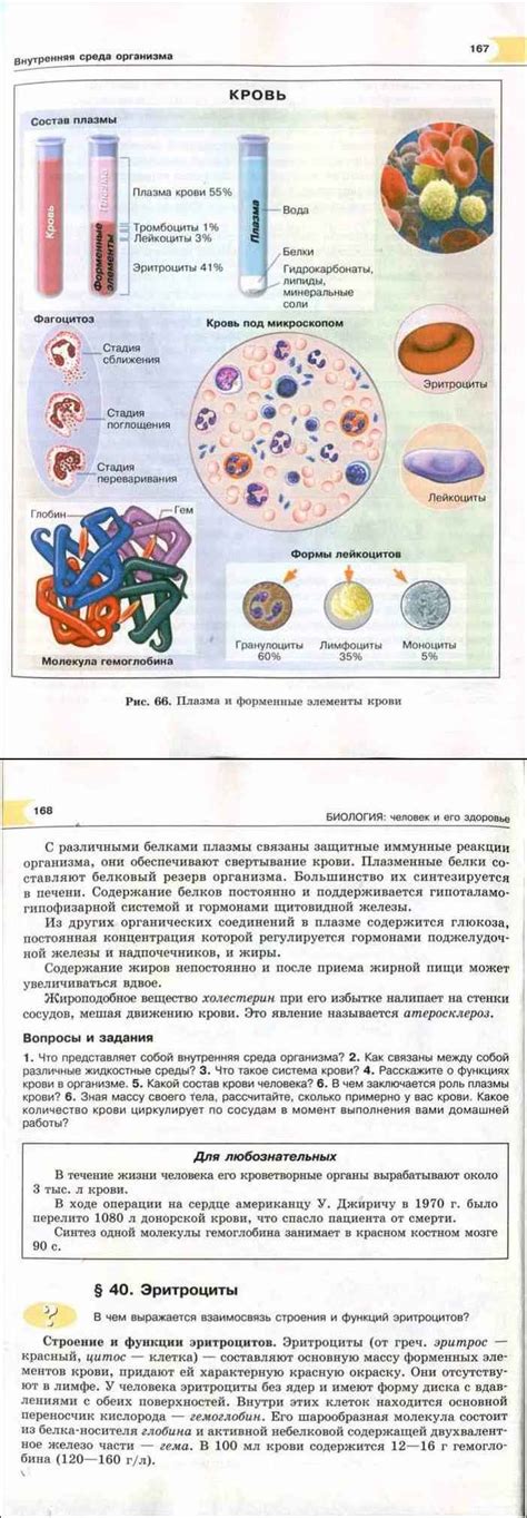 Читать онлайн учебник по биологии за 8 класс Рохлов Трофимов