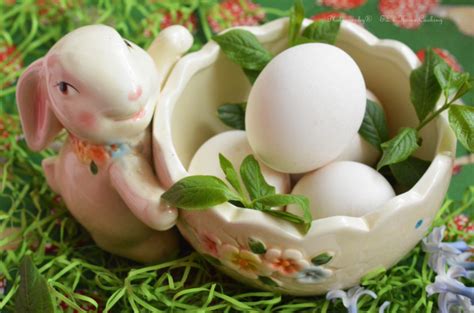 Els Home Cooking Как да избелим яйцата за Великден