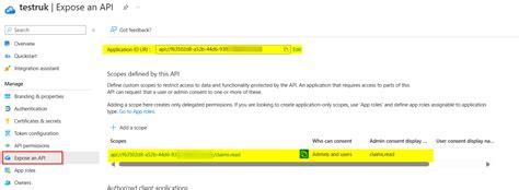 Optionalcustom Claim For Oauth App In Azure Ad Stack Overflow