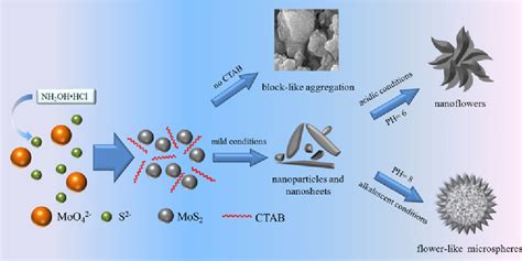 Figure 1 From Surfactant Assisted Hydrothermal Synthesis And Tribological Properties Of Flower