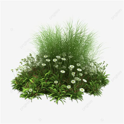 잔디 신선한 잔디 꽃 녹색 잔디에서 녹색 초록색 Png 일러스트 및 이미지 에 대한 무료 다운로드 Pngtree