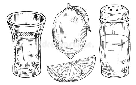玻璃龙舌兰盐调味器 手绘草图插图 向量例证 插画 包括有 刻记 鸡尾酒 查出 图象 分级显示 259773933