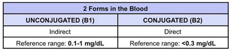 Liver Function Tests Flashcards Quizlet