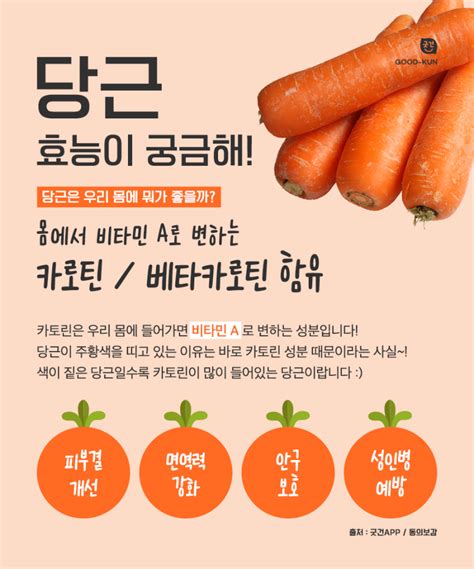 당근 효능 And 당근 1개 칼로리 A2