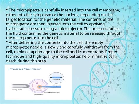 Microbial Biotechnology Micro Infections Pptx