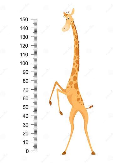 Funny Giraffe Cheerful Funny Giraffe With Long Neck Giraffe Meter