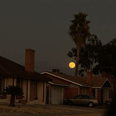Stream The Bane Of My Existence By Connor Starr Listen Online For