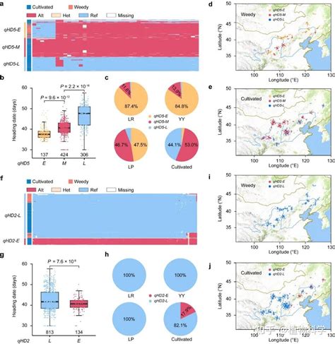 Nature Genetics 中国农业大学宋伟彬团队解锁黍稷基因宝藏，为谷物育种提供种质和基因资源 知乎