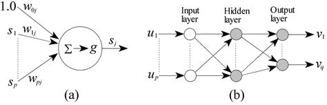 A Mathematical Model Of A Neuron J B A Three Layer Feedforward Download Scientific Diagram