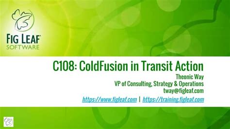 Coldfusion In Transit Action Ppt
