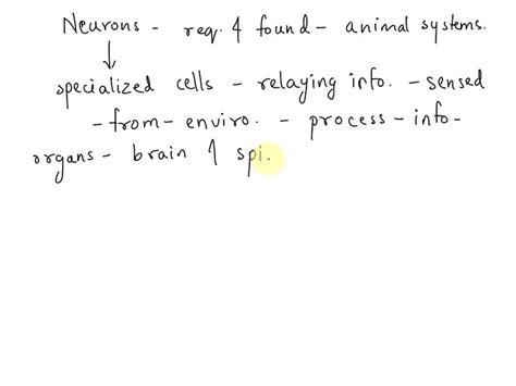 Solved Explain Why Neurons Could Not Function Without The Properties