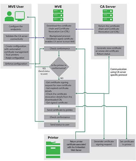 Understanding The Automated Certificate Management Feature