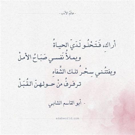 اقتباسات من الشعر العربي عالم الأدب