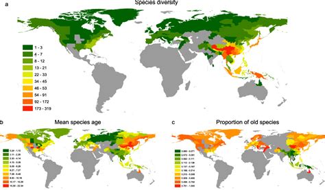 Global Patterns Of Rhododendron Diversity The Role Of Evolutionary Time And Diversification