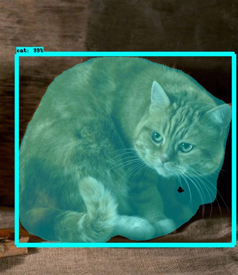 Github Ansheel9multi Class Object Detection Api