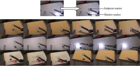 detection of the arm endpoint shown as a circle and the arm s shadow