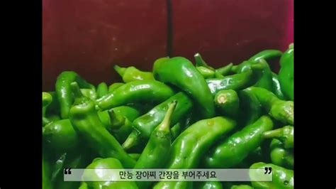 백종원 만능 장아찌 간장으로 고추장아찌 만들기 Youtube