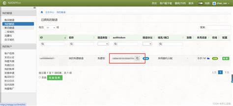 Natapp内网穿透 Csdn博客