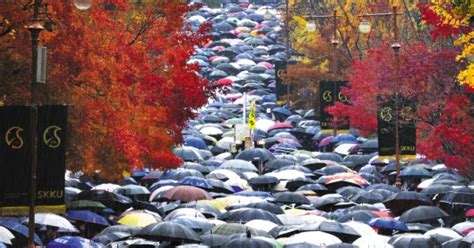 대학으로 가는 쉽지않은 길 성대 논술 전형 경쟁률 72대1