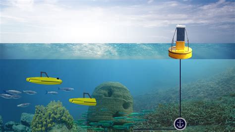 Power In Numbers Unleashing Swarms Of Micro Autonomous Underwater Vehicles To Gather