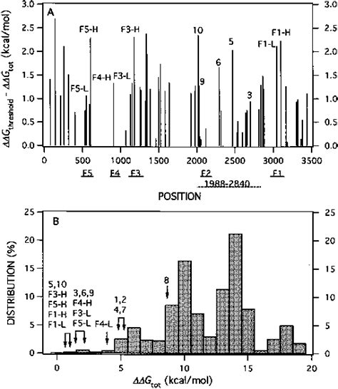 A Possible Myb Binding Sites In The C Myc Promoter Region Predicted