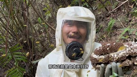 野外挖一窝黄金蜜蜂，一顿操作猛如虎，最后只见蛹不见蜜！ Youtube