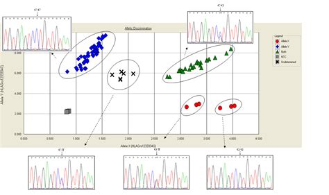 The Impact Of Hla G Lilrb1 And Lilrb2 Gene Polymorphisms On