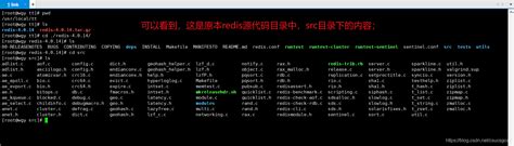 linux入门十一：centos软件方式之：【编译方式】安装和卸载程序；（以安装redis为例演示） centos yum 和make