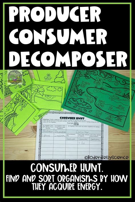 An Image Of Consumer Decomposer With The Words Consumer And Consumers On It