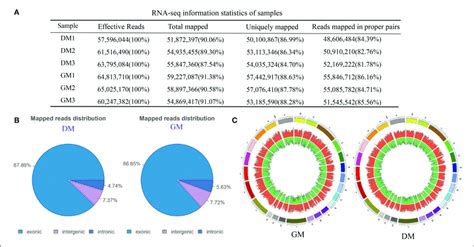 Rna Seq Analysis Of Buffalo Muscs During Proliferation And Download Scientific Diagram