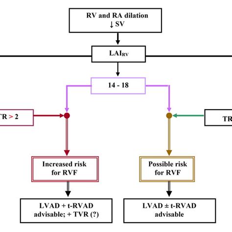 echo based clinical algorithm for device selection in patients with