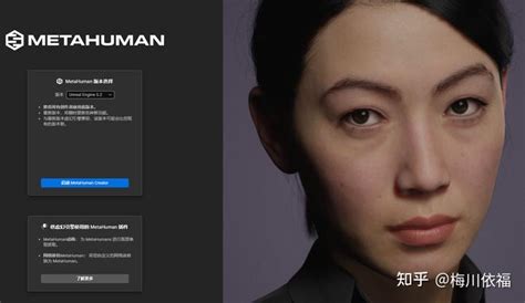Metahuman 深入浅出1 Metahumancreator 知乎