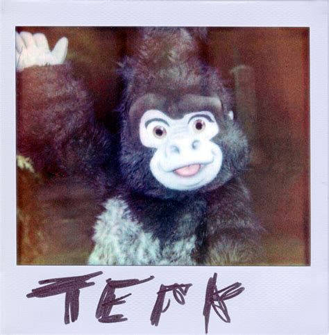 Portroids Presents Terk