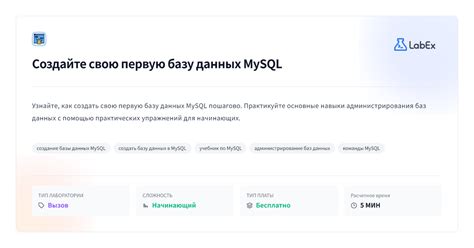 Руководство по созданию базы данных Mysql практическое пособие для начинающих Labex