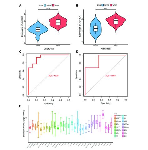 Expression Detection Of Aurka Gene Ab Violin Plot Showing The