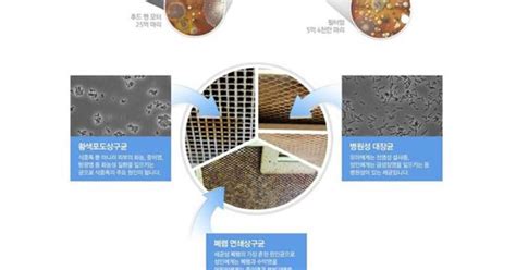 폐암을 유발하는 주방 유해가스를 제거해주는 레인지후드 어떻게 관리하세요