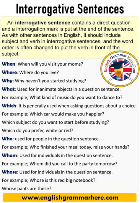 Interrogative Sentences Definitions And Examples English Grammar Here