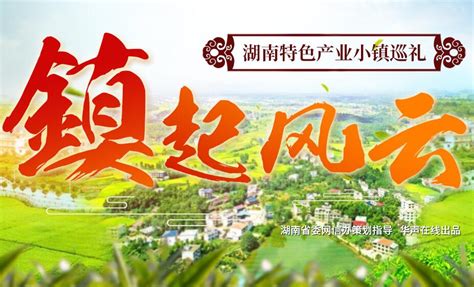 产业项目建设年 华声在线专题