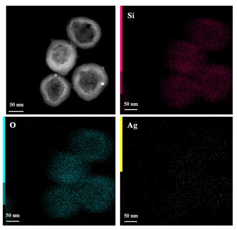 Dark Field Image Of Hollow Ag Sio2 Spheres And Energy Dispersive X Ray Download Scientific